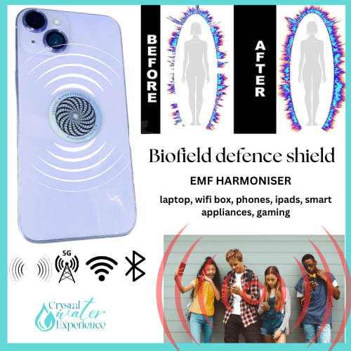 Bio-Field Defence Shield - dhanvadh lifestyle